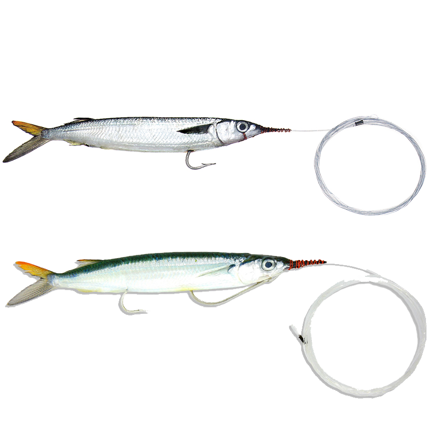 BAITMASTERS OF SOUTH FLORIDA Rigged Ballyhoo - Mono Leader (3 pack ...